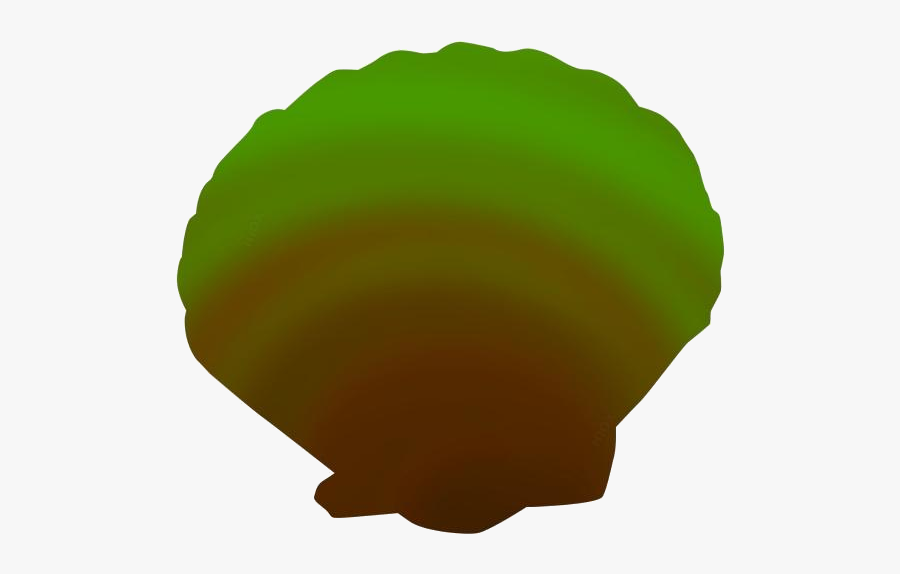 Transparent Shell Clipart, Shell Png Image - Illustration , Free ...
