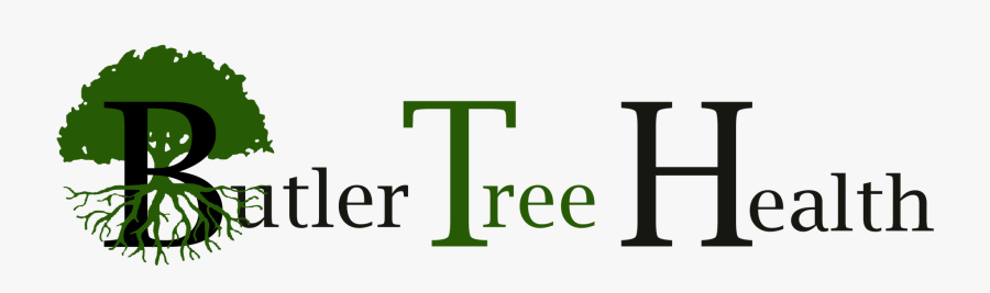 Butler Tree Health , Free Transparent Clipart - ClipartKey