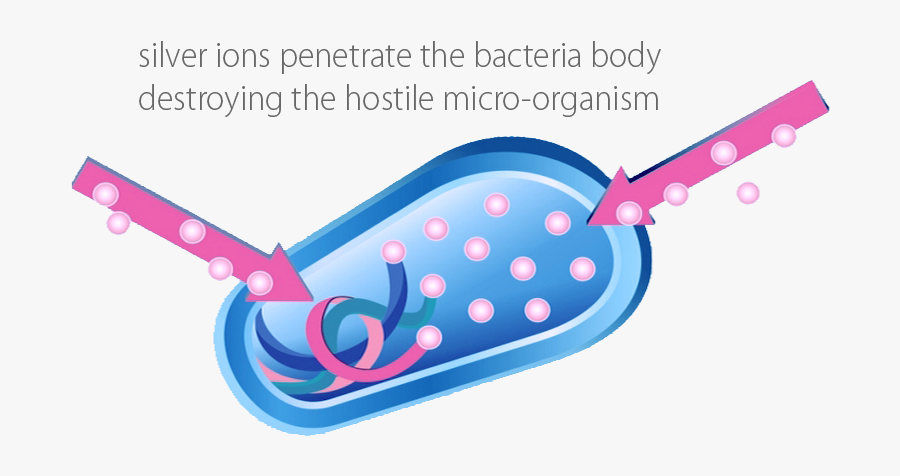 Silver Ion Kill Bacteria Png , Free Transparent Clipart - ClipartKey
