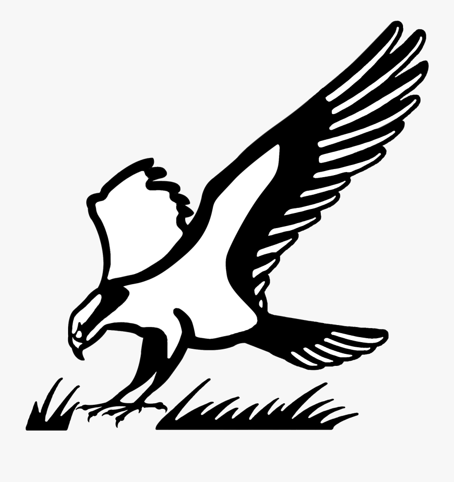 Osprey Bird Logo , Free Transparent Clipart - ClipartKey
