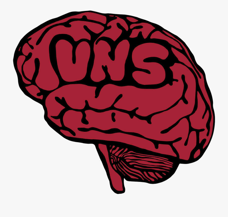 Undergraduate Neuroscience Society Meeting , Free Transparent Clipart ... Undergraduate Neuroscience Society Meeting , Free Transparent Clipart ...