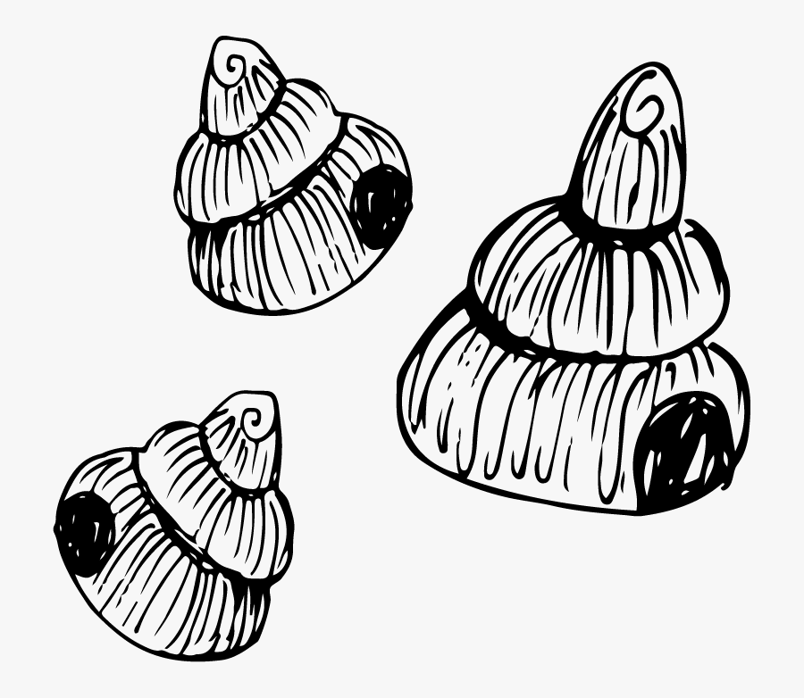 Winkles , Free Transparent Clipart - ClipartKey