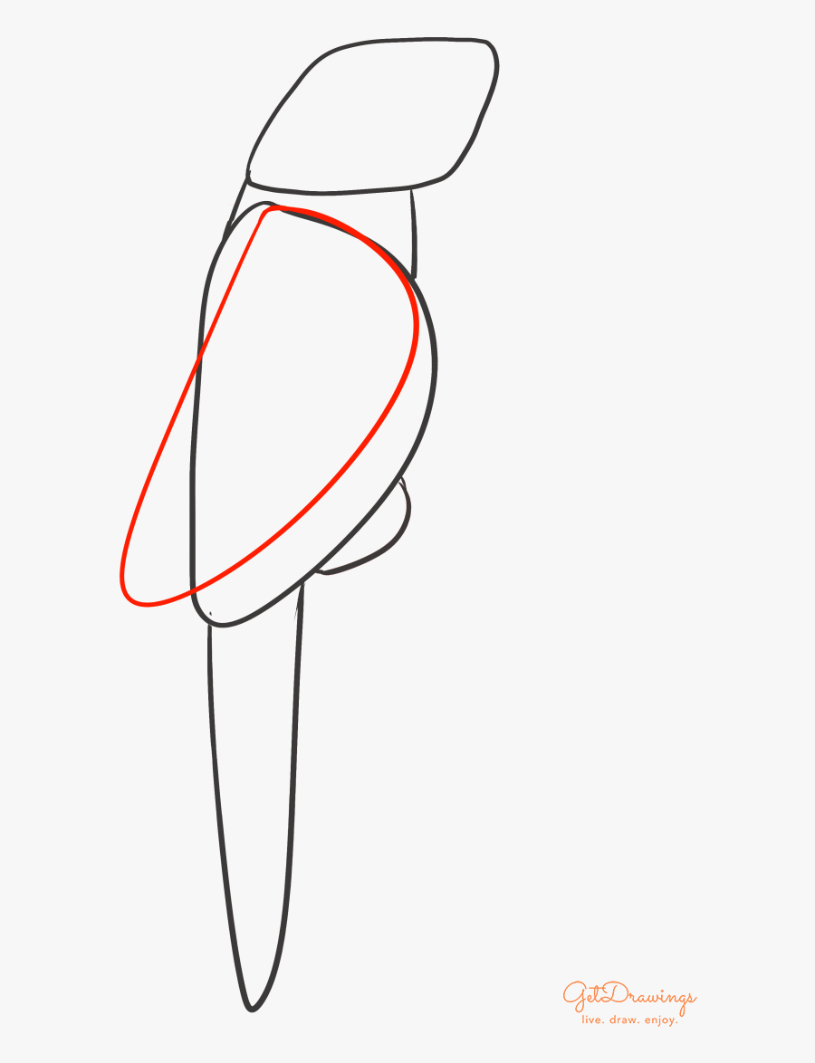 How To Draw A Parrot - Drawing , Free Transparent Clipart - ClipartKey