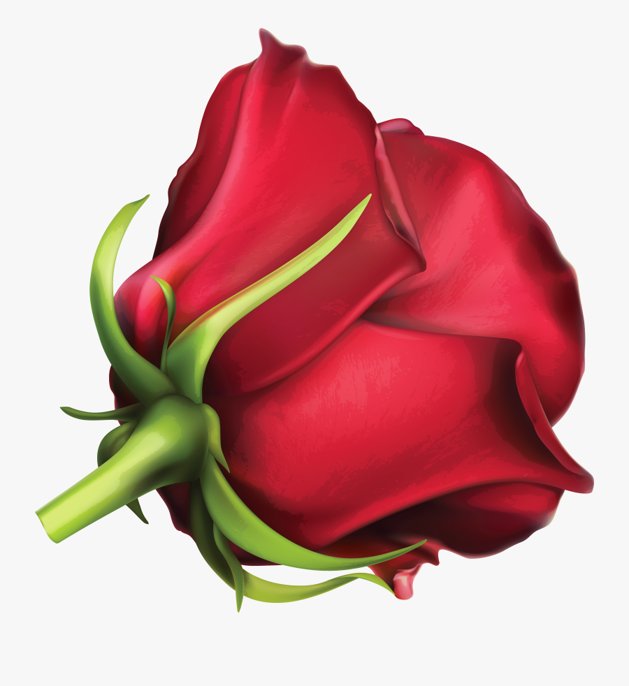 Clipart Roses Christmas - Rose , Free Transparent Clipart - ClipartKey