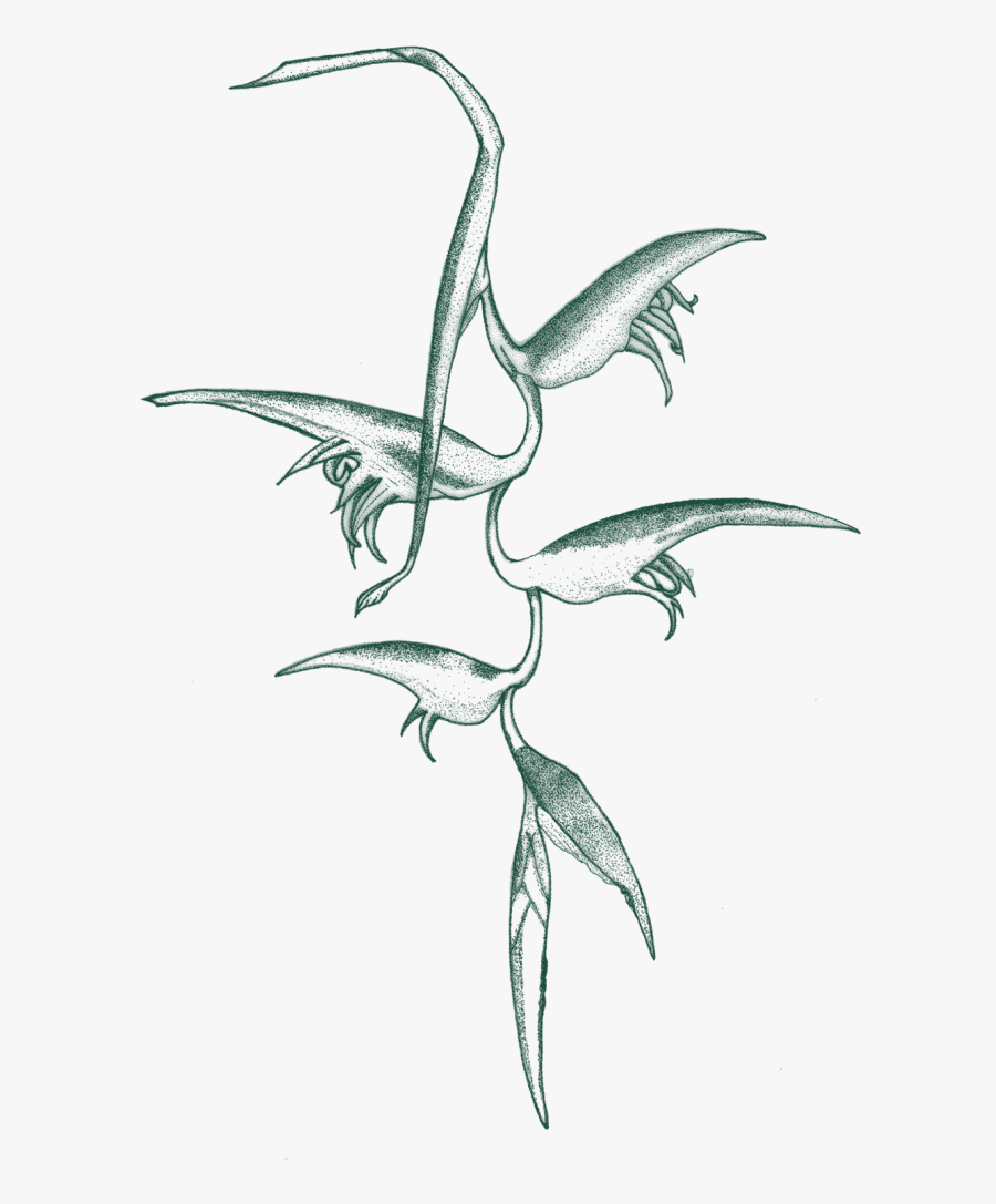 Drawing At Getdrawings Com - Sketch , Free Transparent Clipart - ClipartKey