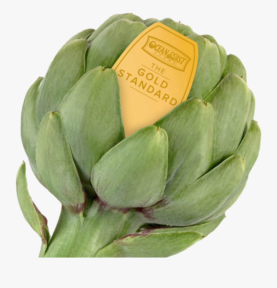 Transparent Green Mist Png - Ocean Mist , Free Transparent Clipart ...