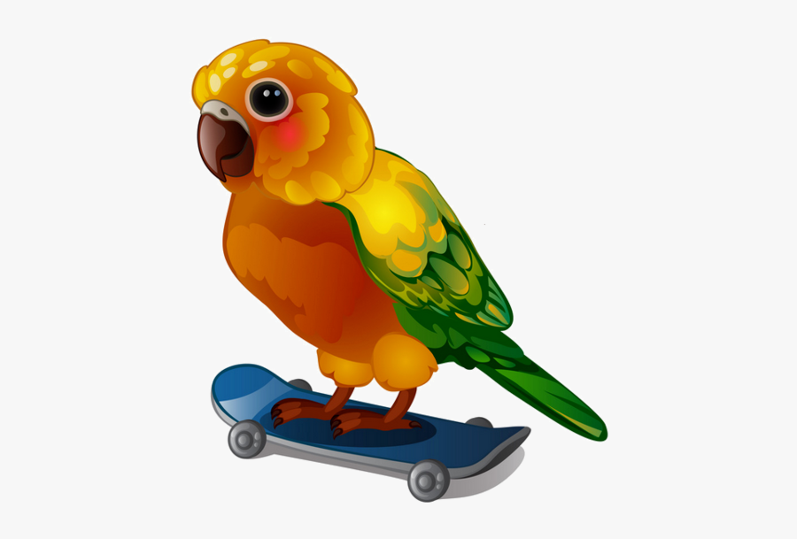 Sun Conure , Free Transparent Clipart - ClipartKey