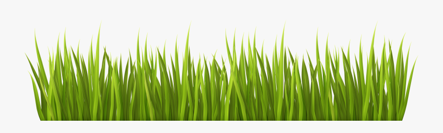 Spring Grass Png Transparent Clip Art Image - Transparent Grass Clipart ...