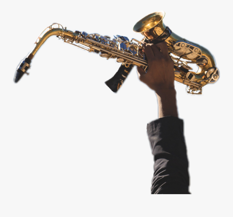 Clip Art Seal Playing Saxophone - Rifle , Free Transparent Clipart ...