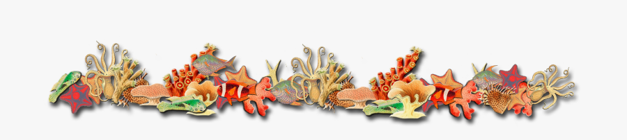 Coralreefborder - Coral Reef Border Clipart , Free Transparent Clipart ...