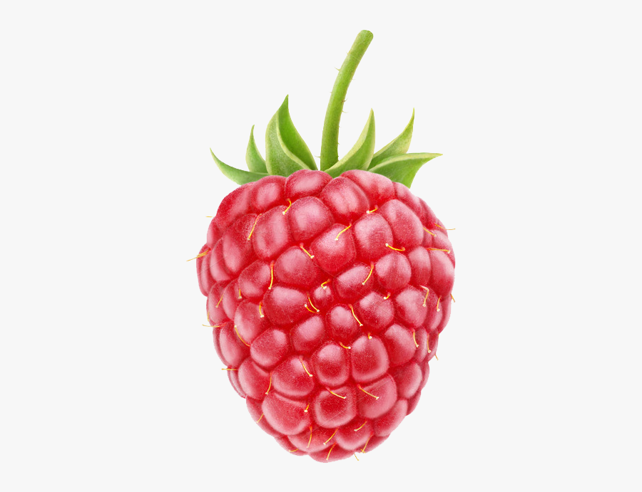 Raspberry High-quality Png - Transparent Background Raspberry Png ...