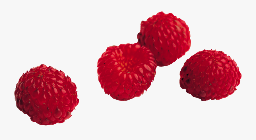 Raspberry Png Transparent Images - Raspberry Png , Free Transparent ...