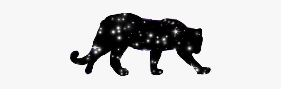 Puma , Free Transparent Clipart - ClipartKey