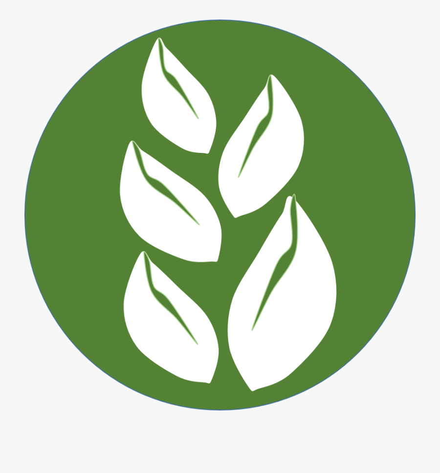 Clean &, Green Clipart - Clean Environment Png , Free Transparent ...