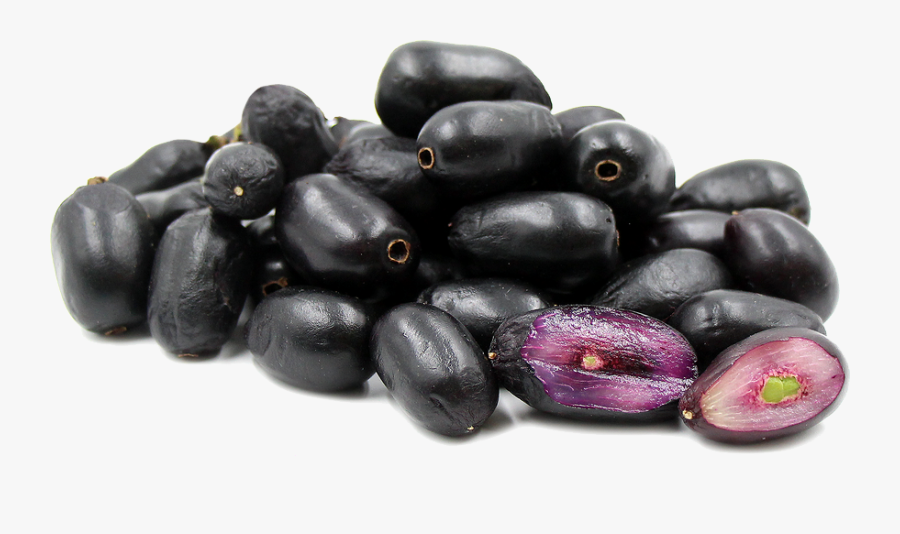 Download Java Plum Photos Hq Png Image Ⓒ - Blueberry In Tamil Nadu ...