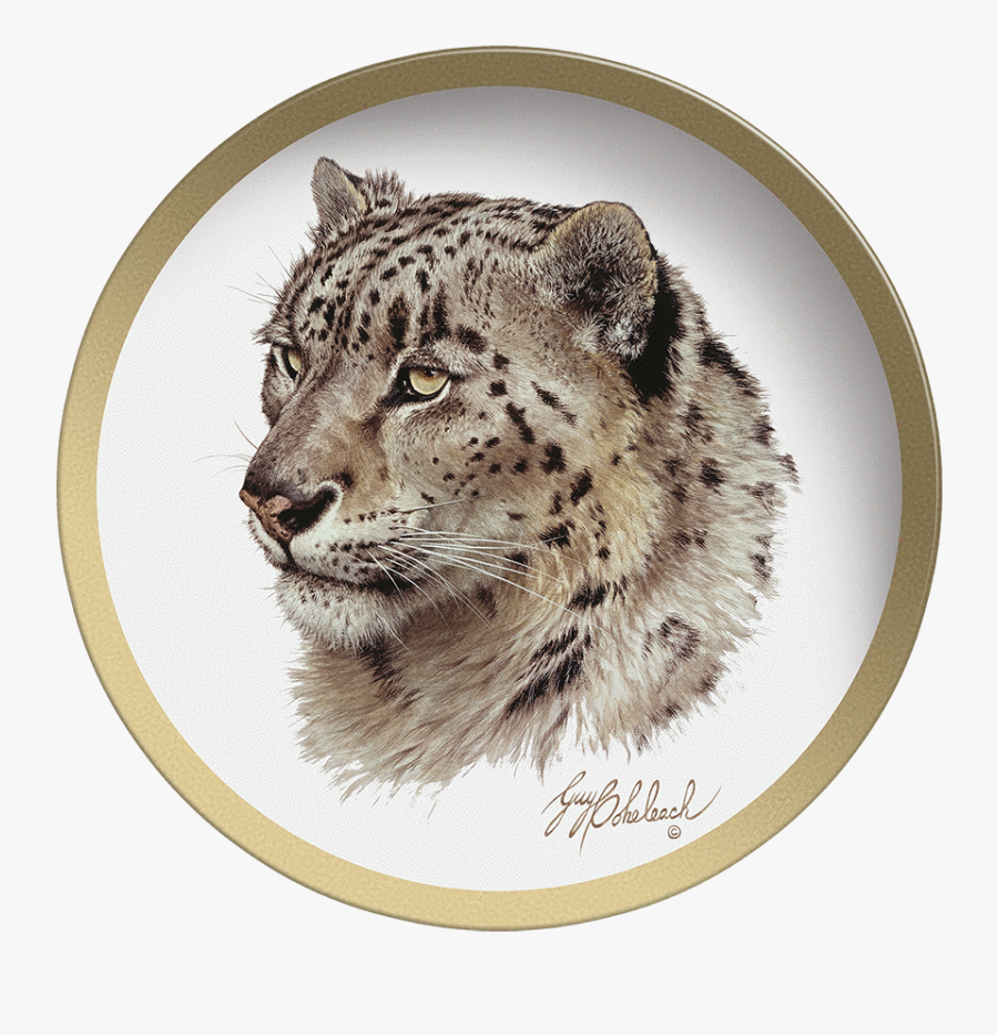 Snow Leopard Head Drawing , Free Transparent Clipart - ClipartKey