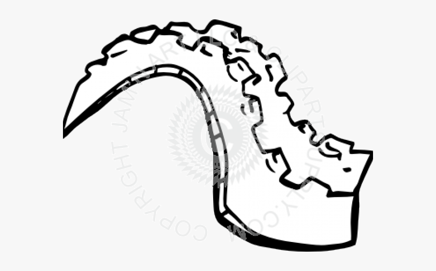 Tail Clipart Alligator - Alligator Tail Clipart , Free Transparent ...