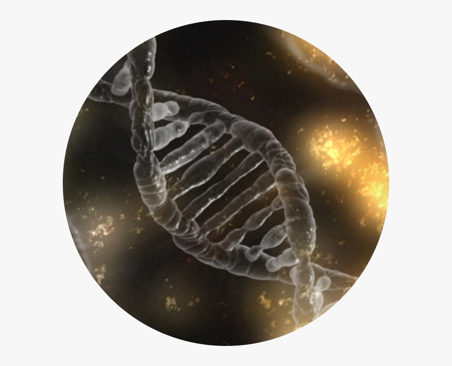 Transparent Panorama Png - Biomedical Signal Gif , Free Transparent ...