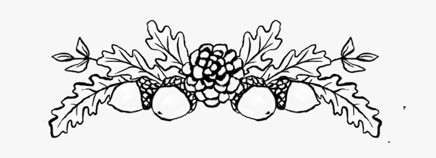 Acorns - Line Art , Free Transparent Clipart - ClipartKey