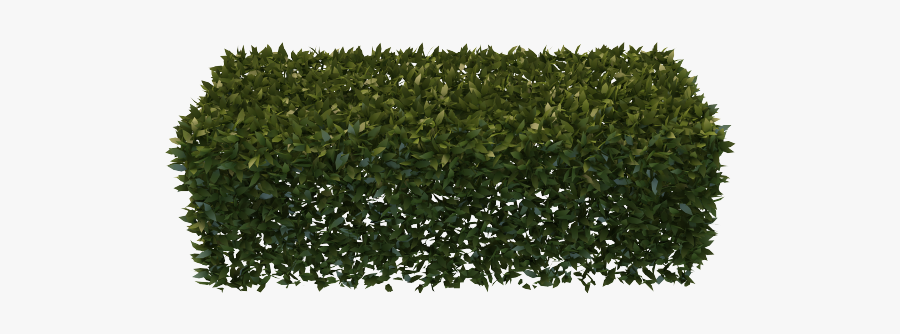 Hedges Png , Free Transparent Clipart - ClipartKey