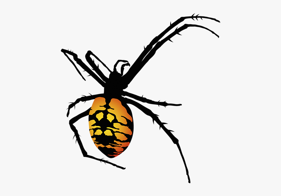 Spiders Clipart Orange Bug - Orange Spider Web Clipart , Free ...