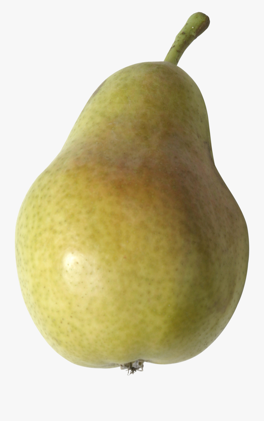 Pear Tree Png Translucent - Png Pear , Free Transparent Clipart ...
