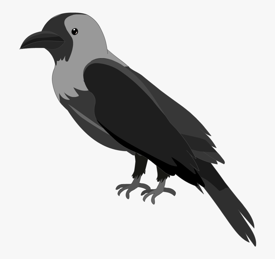 Kavla Pakshi Png , Free Transparent Clipart - ClipartKey