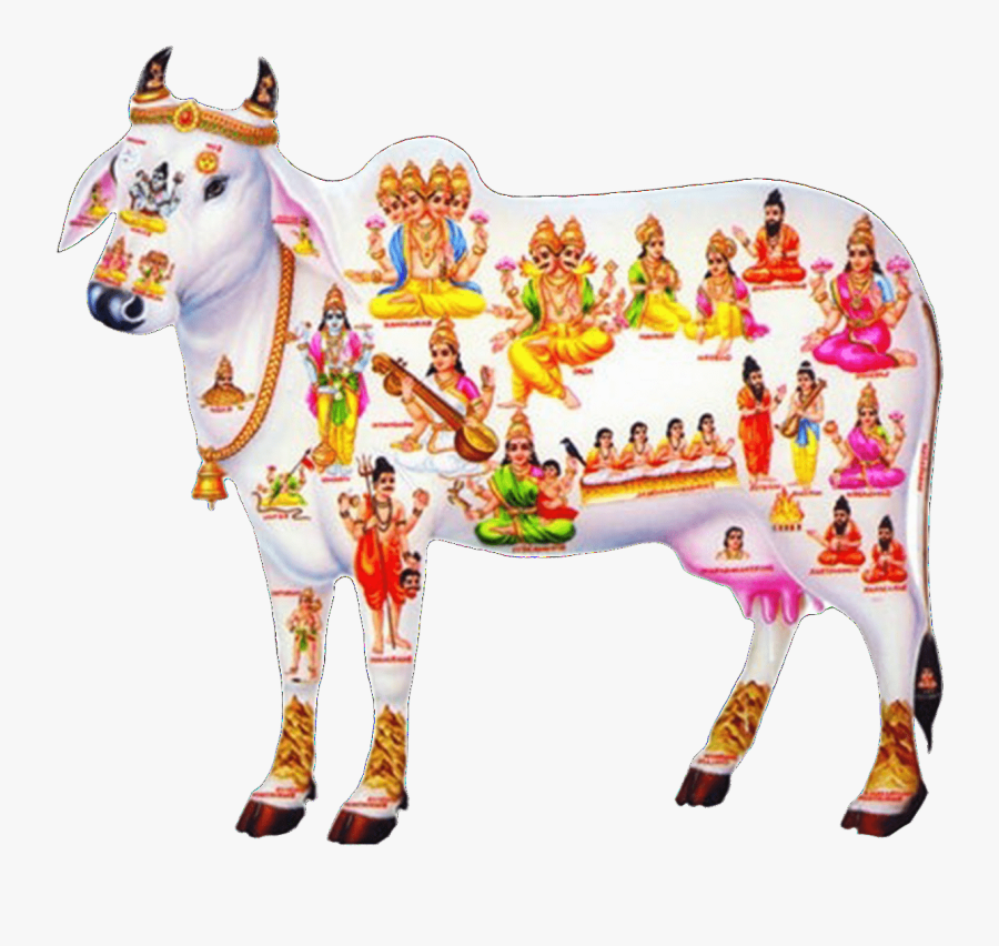 Br Siraj Ur Rehman , Free Transparent Clipart - ClipartKey