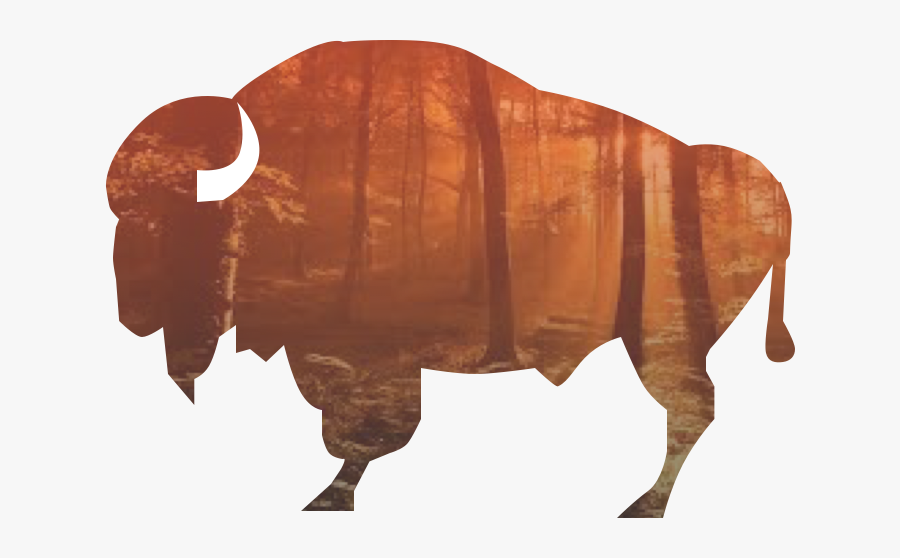 Vector File Download - Bison , Free Transparent Clipart - ClipartKey