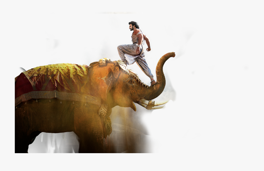 Transparent Indian Elephant Png - Bahubali Ramoji Film City , Free ...