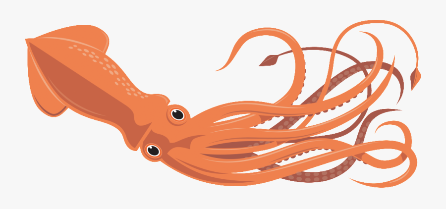 Squid Clipart , Free Transparent Clipart - ClipartKey