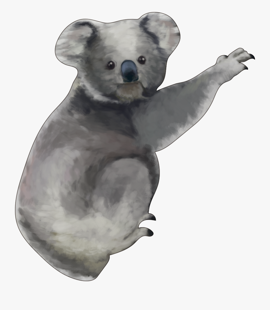 Koala , Free Transparent Clipart - ClipartKey