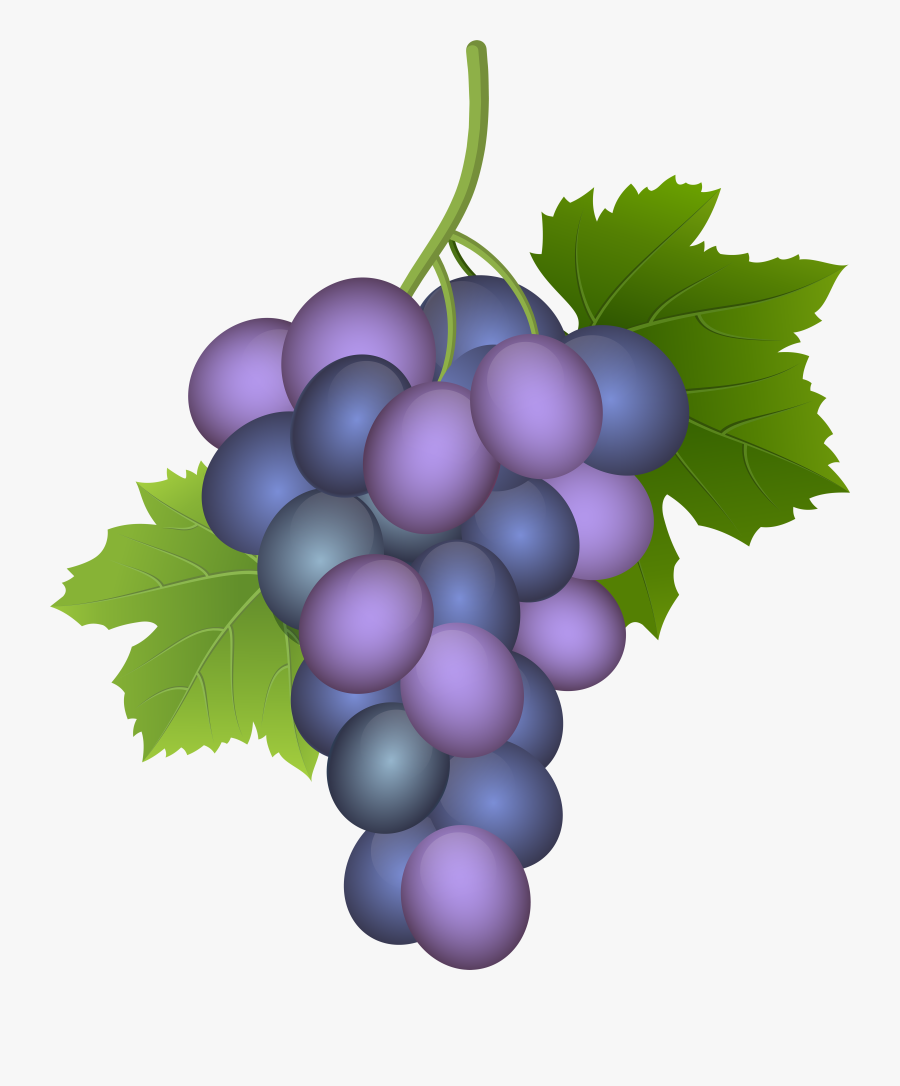 Purple Grape Png Clip Art Image , Free Transparent Clipart - ClipartKey