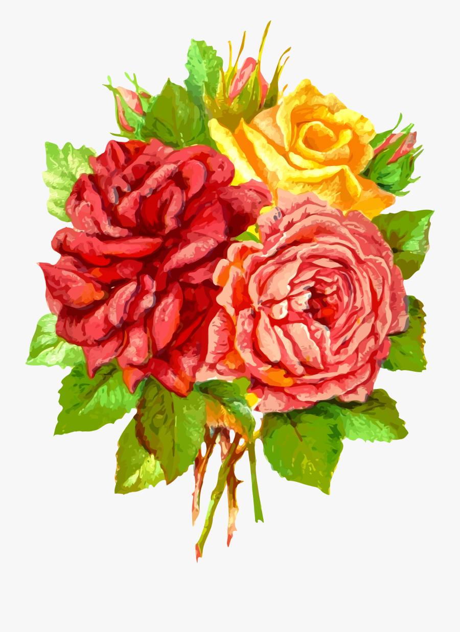 3 Clipart Rose - Garden Roses , Free Transparent Clipart - ClipartKey