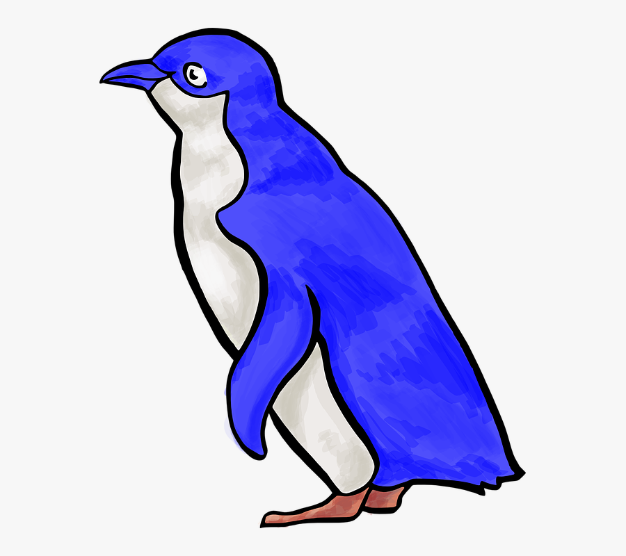 Little Blue Penguin Cartoon , Free Transparent Clipart - ClipartKey