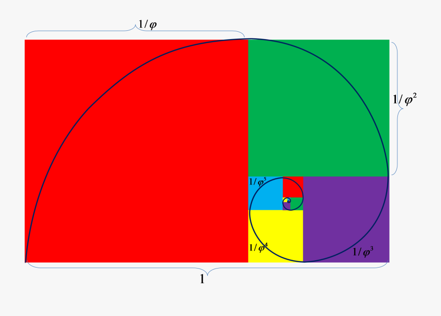 Golden Ratio - Golden Ratio For Kids , Free Transparent Clipart ...