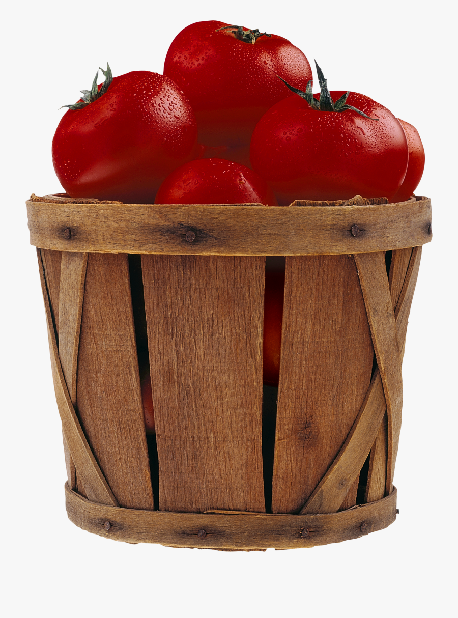 Ratio Clipart , Free Transparent Clipart - ClipartKey