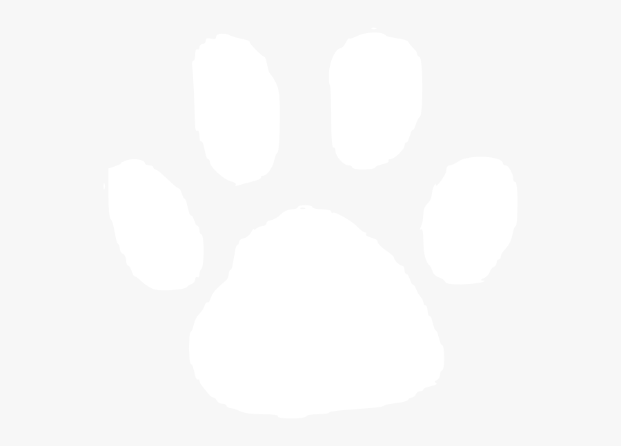 Footprints Clipart Tiger - White Paw Print Png , Free Transparent ...