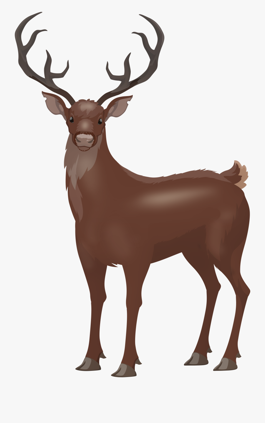 Red Png Clip Art - Red Deer Clipart , Free Transparent Clipart - ClipartKey