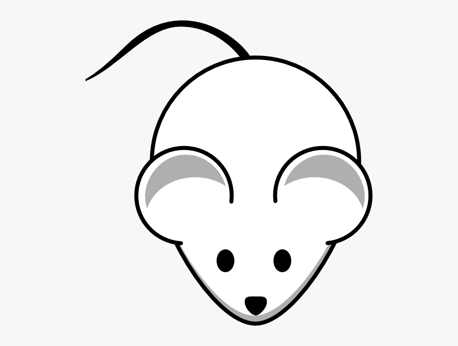 Cartoon Mouse , Free Transparent Clipart - ClipartKey