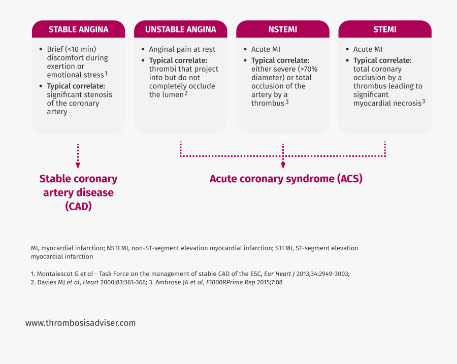 Introduction To Spectrum Of - Acs Vs Cad Vs Cvd , Free Transparent ...