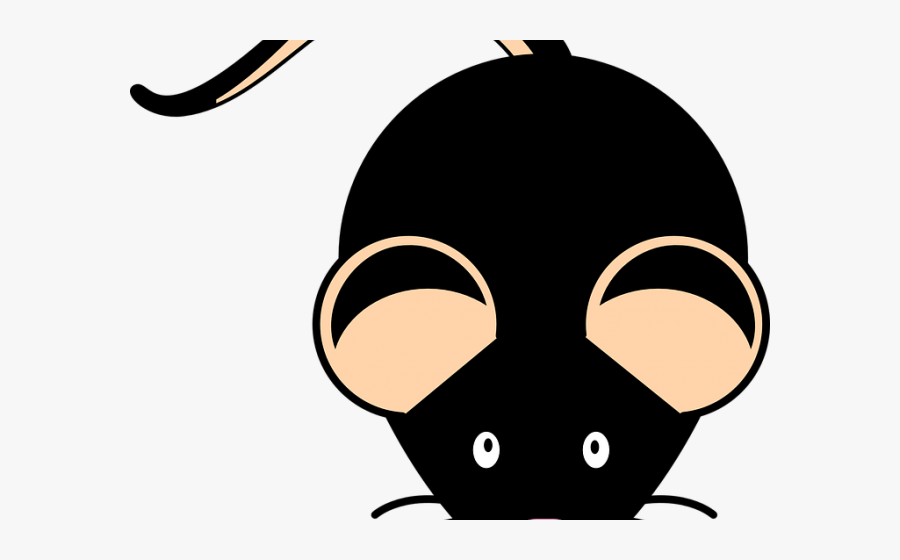 Cartoon C57bl 6 Mice , Free Transparent Clipart - ClipartKey