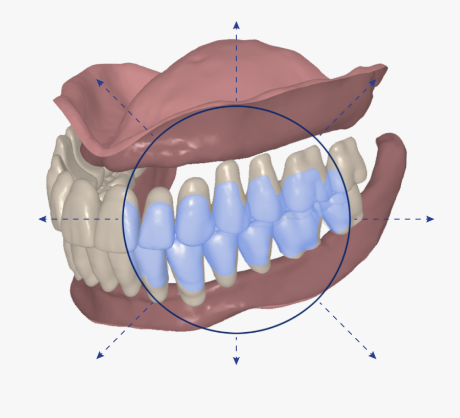 Signatureteeth , Free Transparent Clipart - ClipartKey