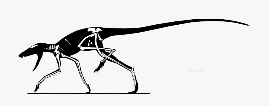 Hallopus Victor , Free Transparent Clipart - ClipartKey