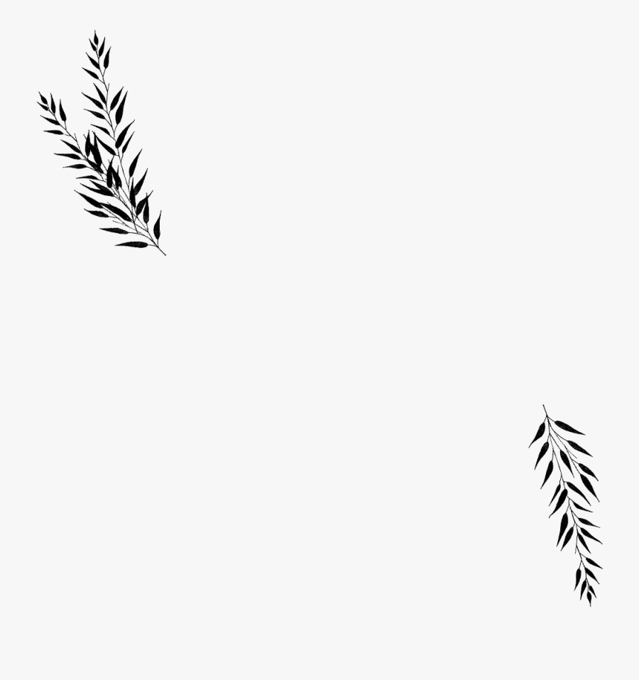 Leaf Line Png , Free Transparent Clipart - ClipartKey