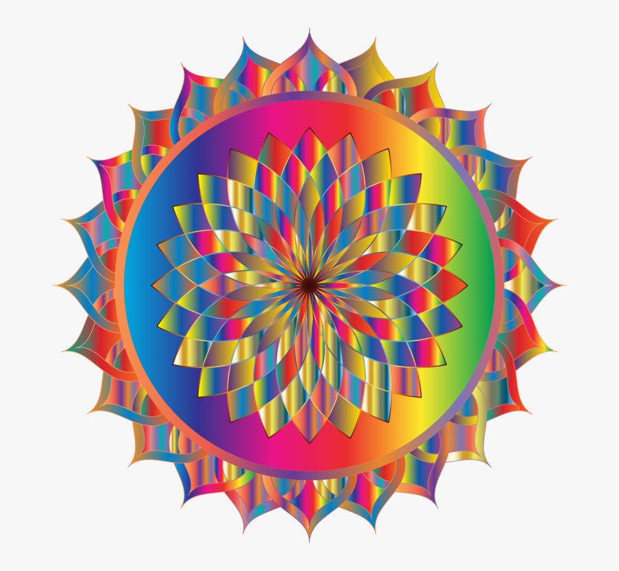 Flower,leaf,symmetry - Domain Banner , Free Transparent Clipart ...