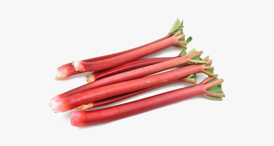 Rhubarb Png - Garden Rhubarb , Free Transparent Clipart - ClipartKey