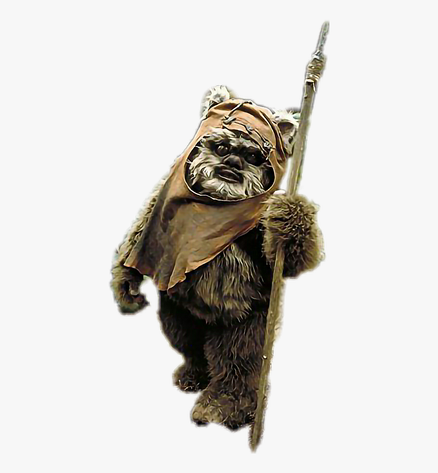 #ewok - Hi Ewok Star Wars , Free Transparent Clipart - ClipartKey