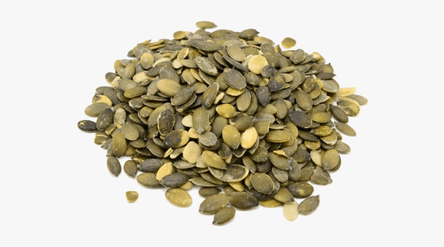 Pumpkin Seeds Png - Pumpkin Seeds Transparent Background Png , Free ...