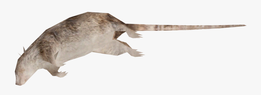 Dead Rat Transparent Background , Free Transparent Clipart - ClipartKey
